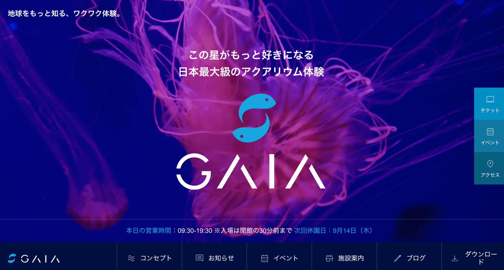 WordPress TCDテーマの魅力を初心者向けに解説！最高品質のサイトができる - きつねコードブログ